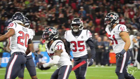 National Football League GIF by Houston Texans - Find & Share on GIPHY