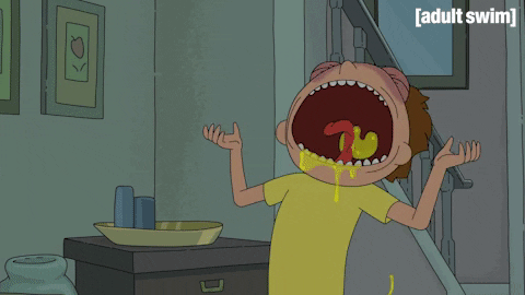 Season 3 Episode 308 GIF by Rick and Morty - Find & Share on GIPHY