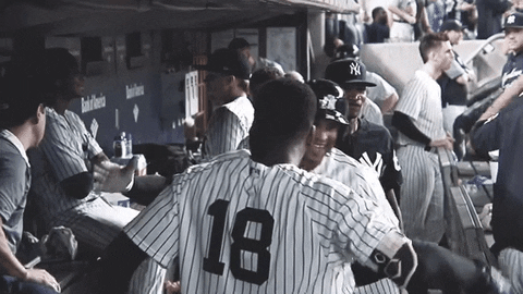 High Five Major League Baseball GIF by New York Yankees - Find & Share ...