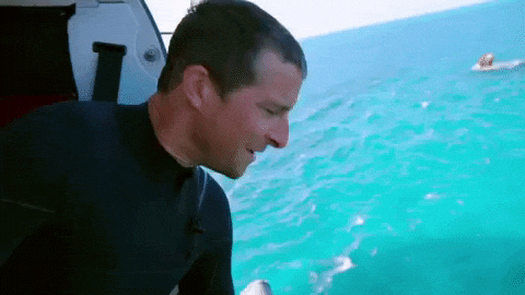 Happy Bear Grylls GIF by Shark Week - Find & Share on GIPHY