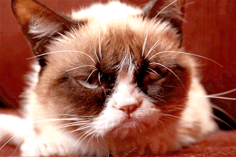 Grumpy GIF - Find & Share on GIPHY