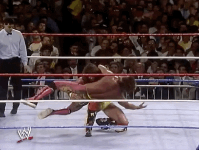 Ultimate Warrior Sport GIF by WWE - Find & Share on GIPHY