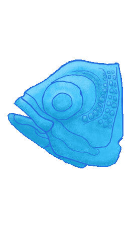 Fish Bluefish Sticker by Toby Melville-Brown for iOS & Android | GIPHY