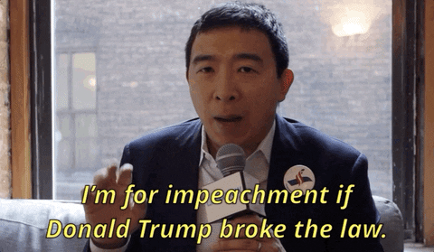 Impeach Donald Trump GIF - Find & Share on GIPHY