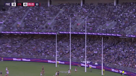 Freohighlights Aflfreosaints GIF by Fremantle Dockers - Find & Share on ...
