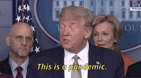 Donald Trump GIF by GIPHY News - Find & Share on GIPHY