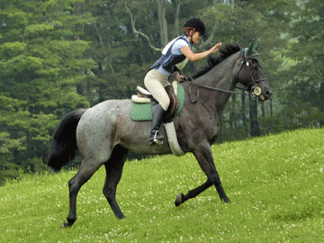 Riding GIFs - Find & Share on GIPHY