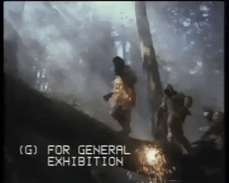 Battle For Endor Wicket GIF by mdleone - Find & Share on GIPHY