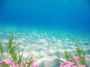 Sea GIF - Find & Share on GIPHY