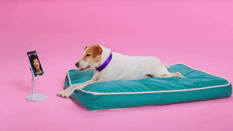 Phone Call Love GIF by YahooMobile - Find & Share on GIPHY