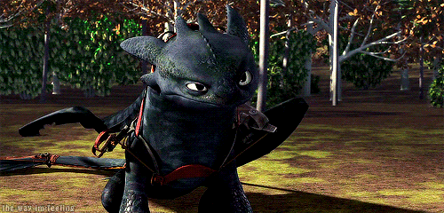 Toothless GIF - Find & Share on GIPHY