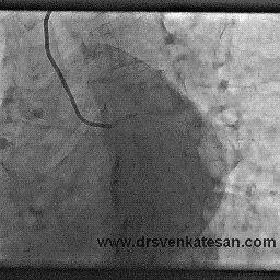 Collateral GIF - Find & Share on GIPHY