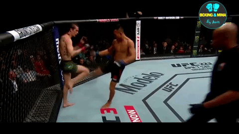 Moments in MMA that made you shake your head in disbelief | Page 5 ...