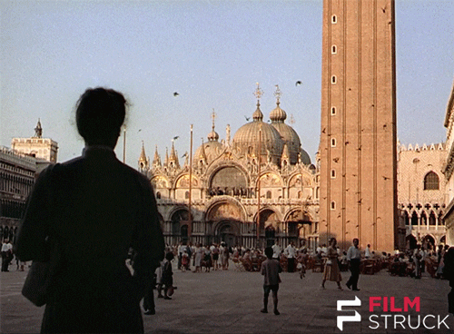 Traveling Criterion Collection GIF by FilmStruck - Find & Share on GIPHY