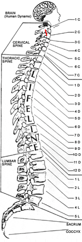 D12 GIF - Find & Share on GIPHY