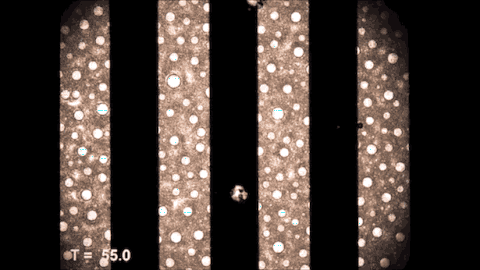 Digital Electronic Gifs