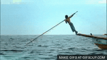 Whale Hunting GIFs - Find & Share on GIPHY