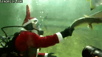 Shark Eats Fish GIFs - Get the best GIF on GIPHY