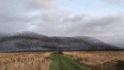 Murmurations GIF - Find & Share on GIPHY