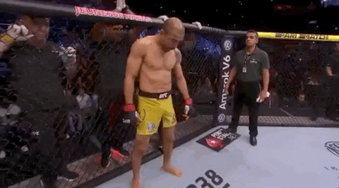 UFC GIF - Find & Share on GIPHY