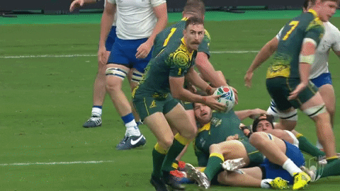 World Rugby Sport GIF by Rugby World Cup - Find & Share on GIPHY
