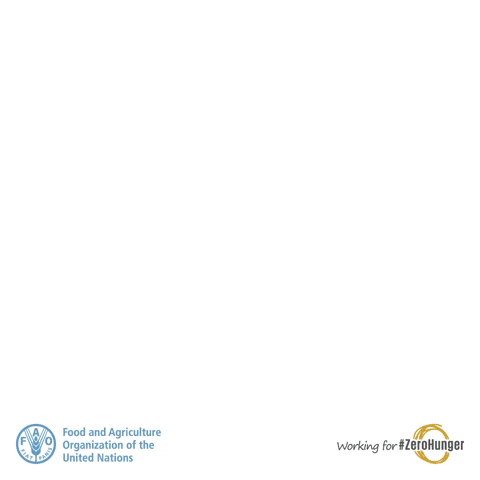 Food Waste GIFs - Get the best GIF on GIPHY