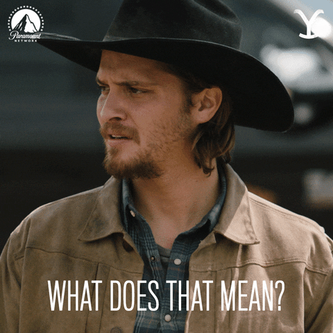 Confused Paramount Network GIF by Yellowstone - Find & Share on GIPHY