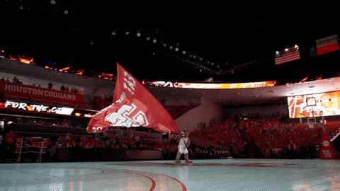 Sasha Go Coogs GIF by University of Houston - Find & Share on GIPHY