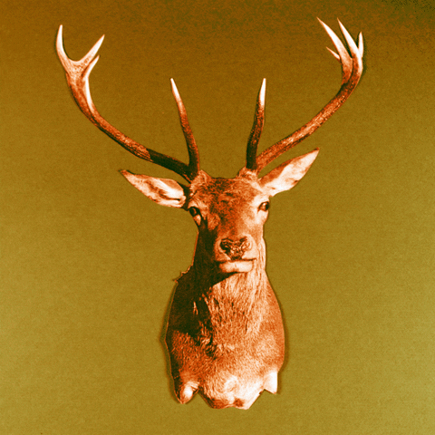 GIF by sarahmaes - Find & Share on GIPHY