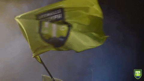 Usl League One Soccer GIF by Greenville Triumph SC - Find & Share on GIPHY