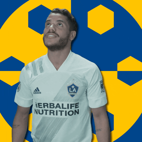 Los Angeles La GIF by Major League Soccer - Find & Share on GIPHY