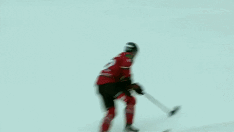 Save Cardiff Devils GIF by Champions Hockey League - Find & Share on GIPHY