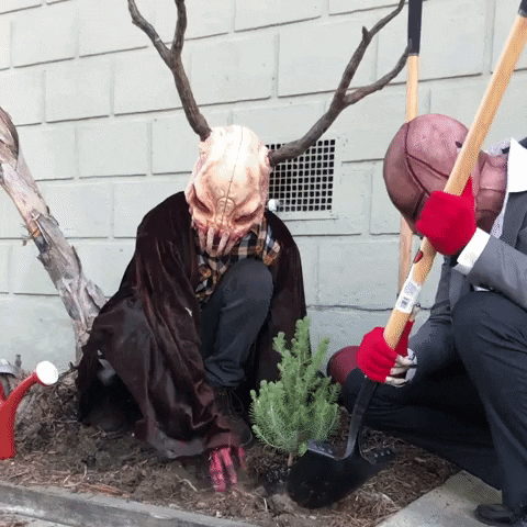 Tree GIFs - Find & Share on GIPHY