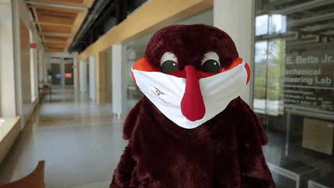 Hokies Hokiebird GIF by Virginia Tech - Find & Share on GIPHY