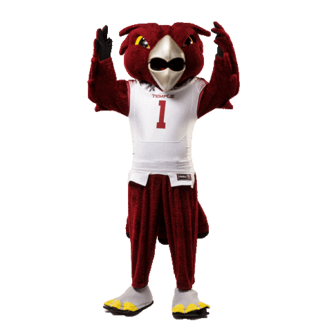 Temple Owls Sticker by Temple University for iOS & Android | GIPHY