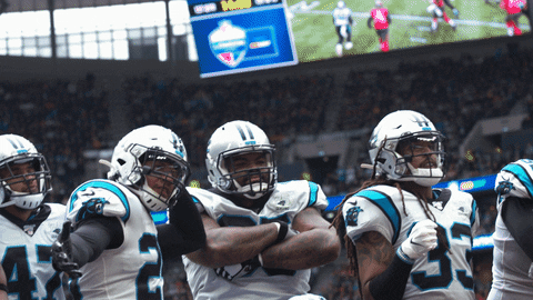 Nfl GIF by Carolina Panthers - Find & Share on GIPHY