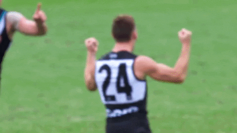 Football Afl GIF by Port Adelaide FC - Find & Share on GIPHY
