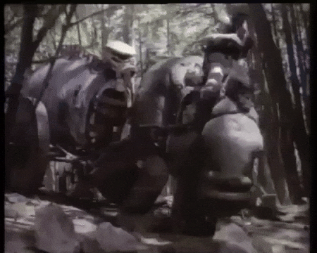 Battle For Endor Wicket GIF by mdleone - Find & Share on GIPHY