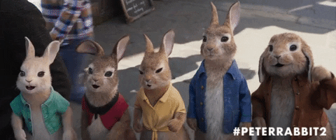 GIF by Peter Rabbit Movie - Find & Share on GIPHY
