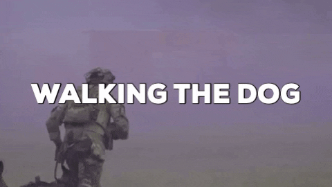 Dog Walking GIF by U.S. Army - Find & Share on GIPHY