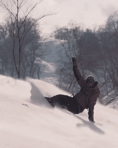 Nidecker Snowboards GIF - Find & Share on GIPHY