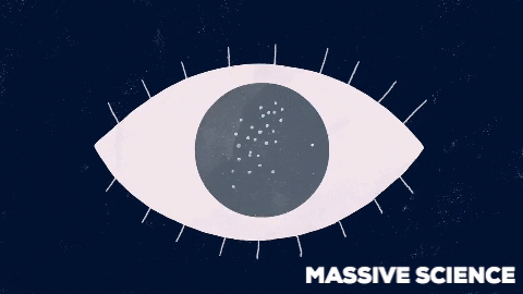 Massive Science GIF - Find & Share on GIPHY
