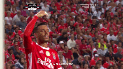 Waving Sl Benfica GIF by Sport Lisboa e Benfica - Find & Share on GIPHY