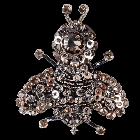 Accessories Brooch GIF by Aidan and Ice - Find & Share on GIPHY