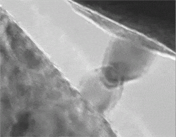 Electron Microscope GIFs - Find & Share on GIPHY