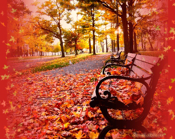 Autumn GIFs - Find & Share on GIPHY