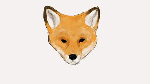 Fox GIF - Find & Share on GIPHY