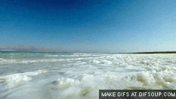 Sea GIF - Find & Share on GIPHY