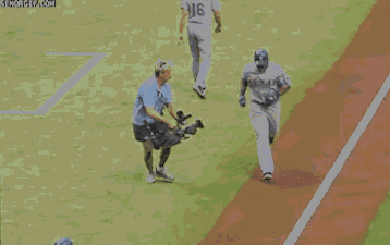 Fall Trip GIF by Cheezburger - Find & Share on GIPHY