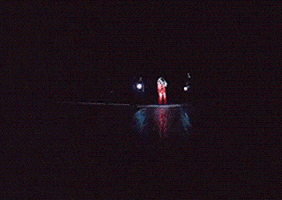 Flicker GIFs - Get the best GIF on GIPHY